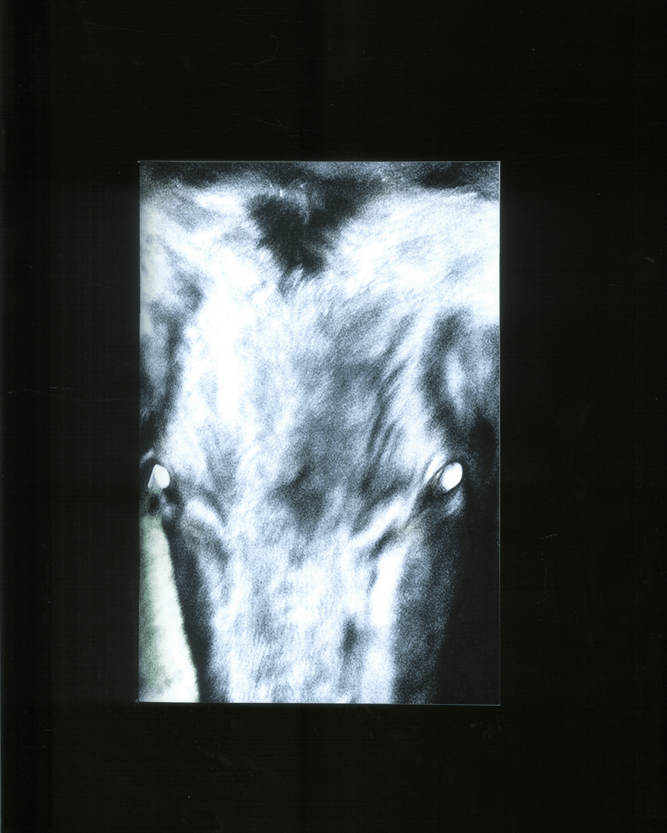 HV ZINE 001: DEMMO – Halcyon Veil
